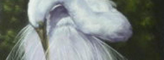 AGGG-pastels - Metropolitan Arts Council