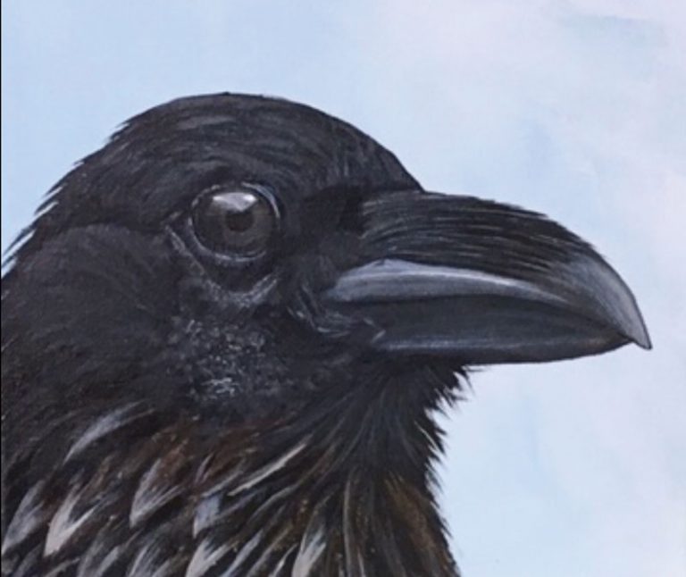 Judith Machmer | Metropolitan Arts Council | Greenville, SC