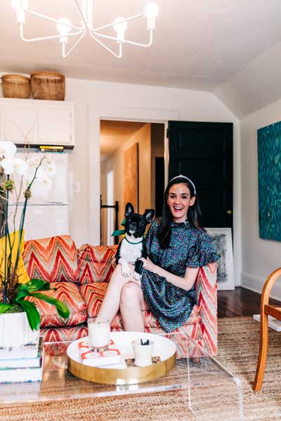 shain - Metropolitan Arts Council